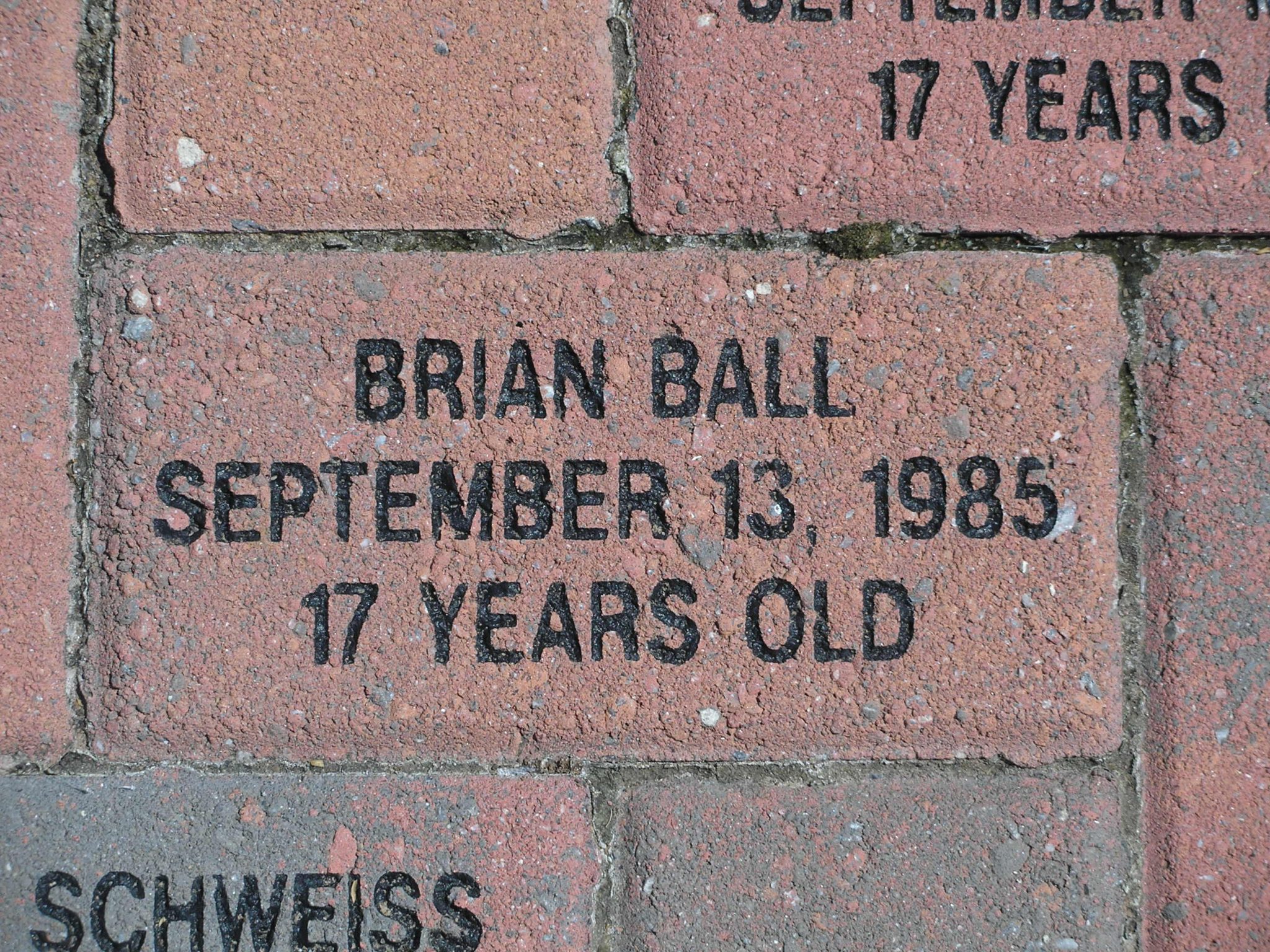 Brian Ball – PA DUI Association