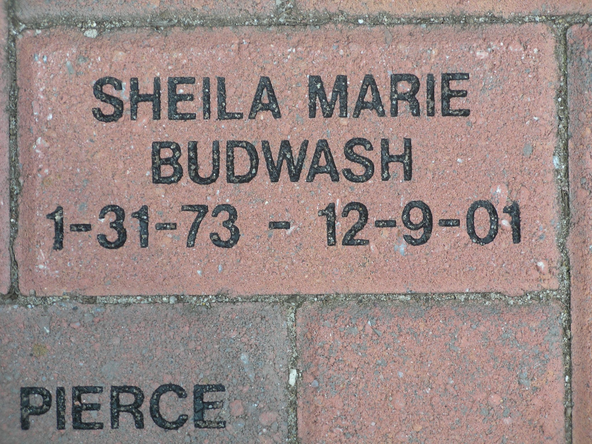 Sheila Marie Budwash – PA DUI Association