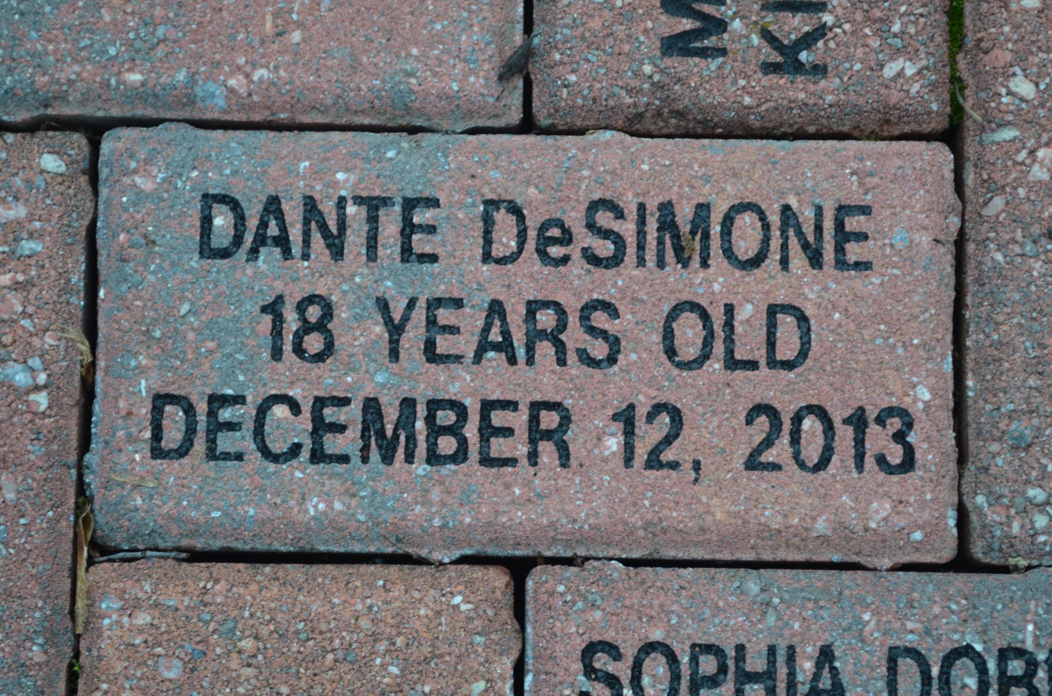 Dante DeSimone – PA DUI Association