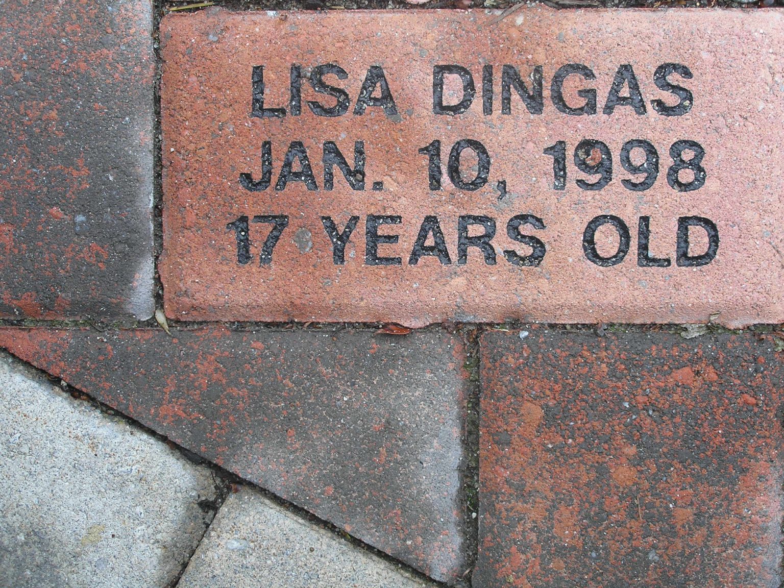 Lisa Dingas – PA DUI Association