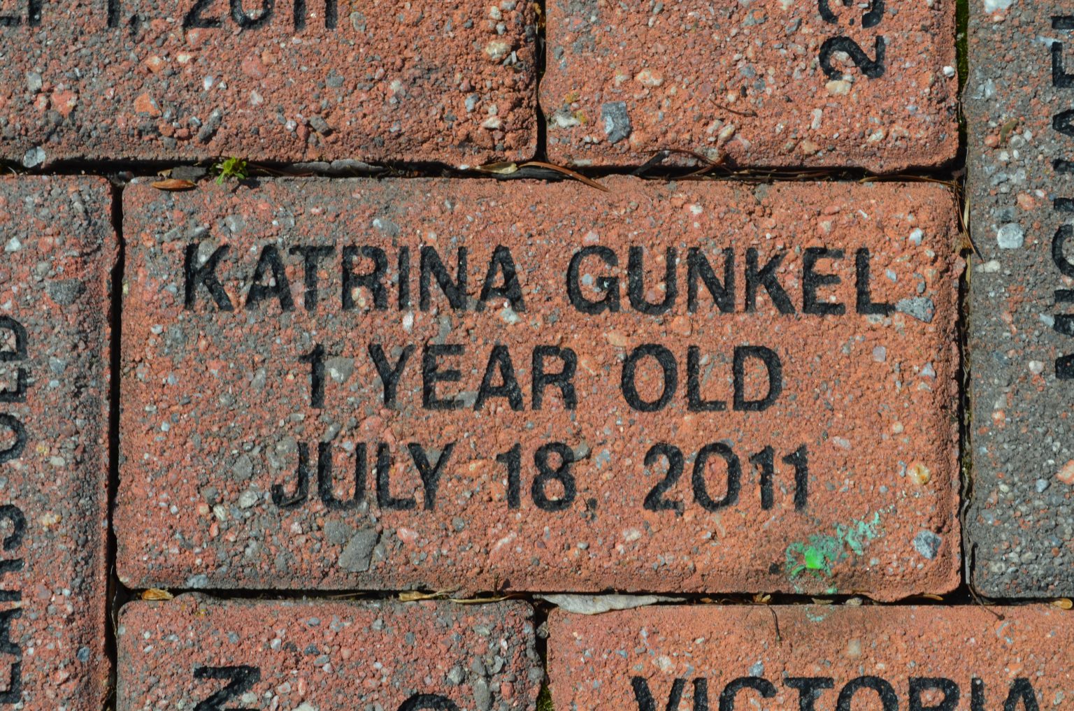 Katrina Gunkel – PA DUI Association
