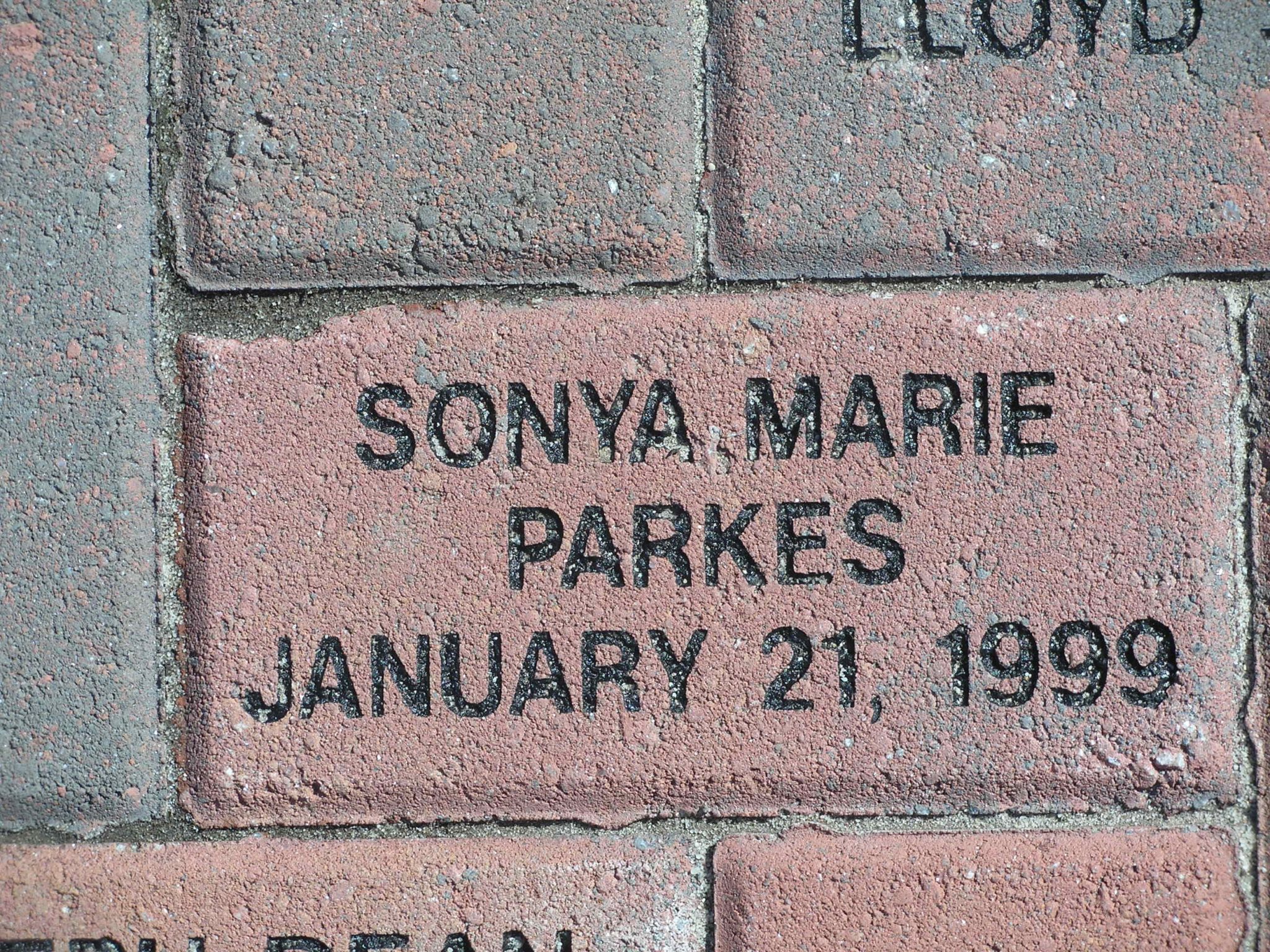 Sonya Marie Parkes – PA DUI Association